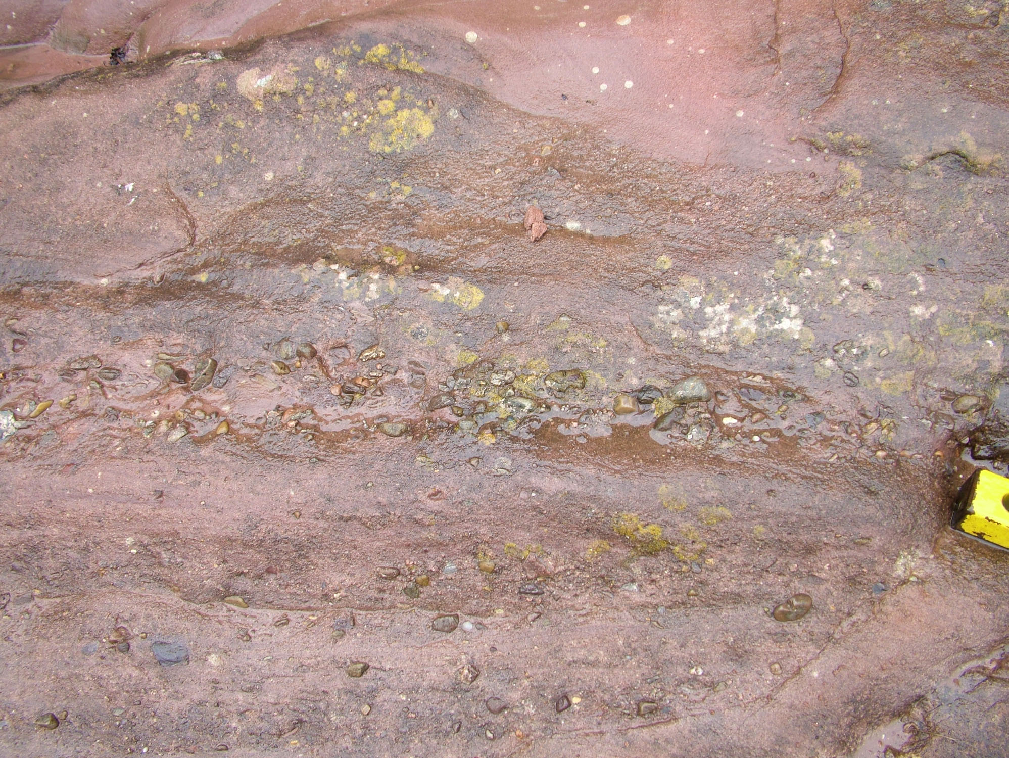 UK Fossil Collecting