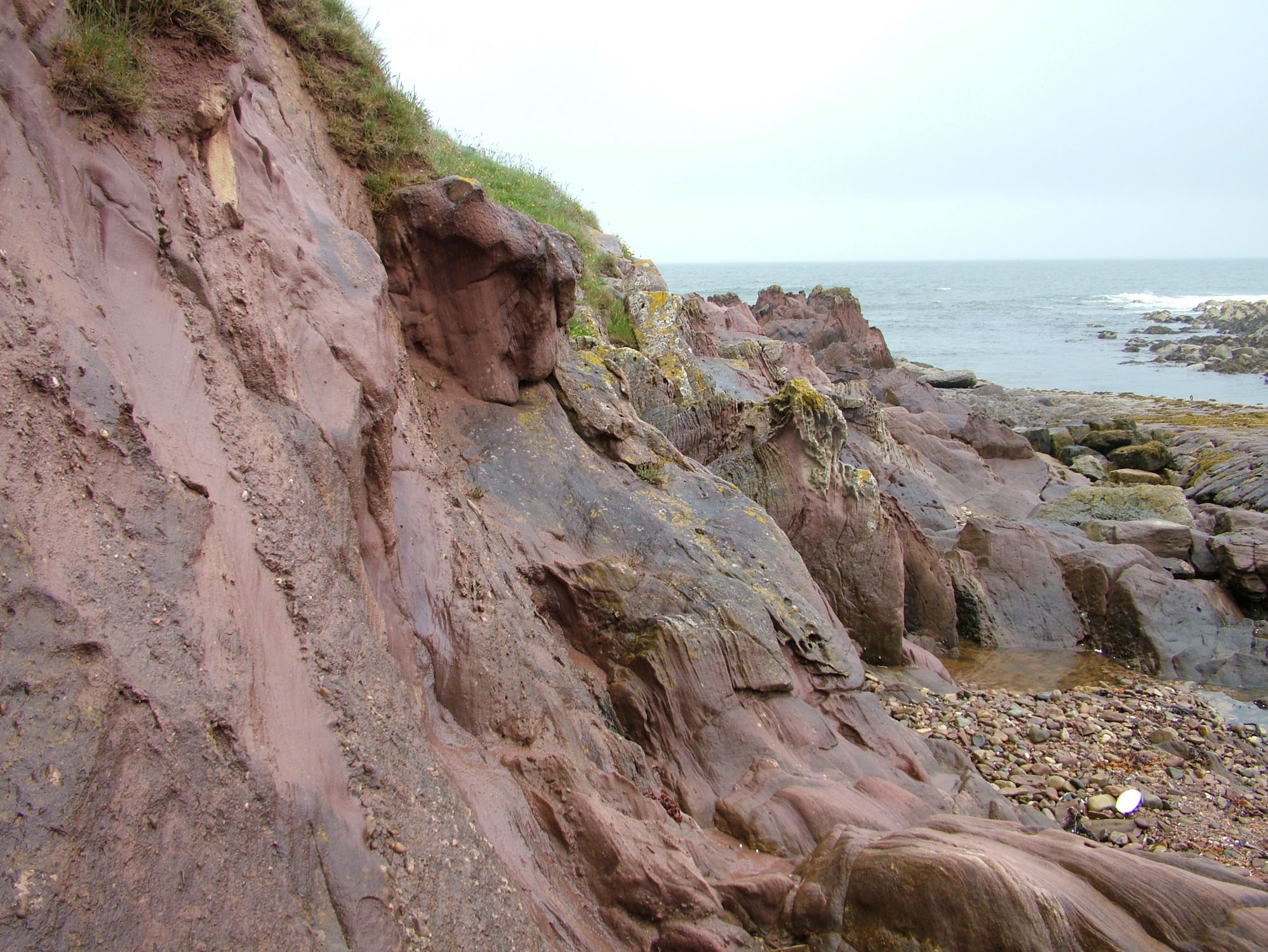 UK Fossil Collecting