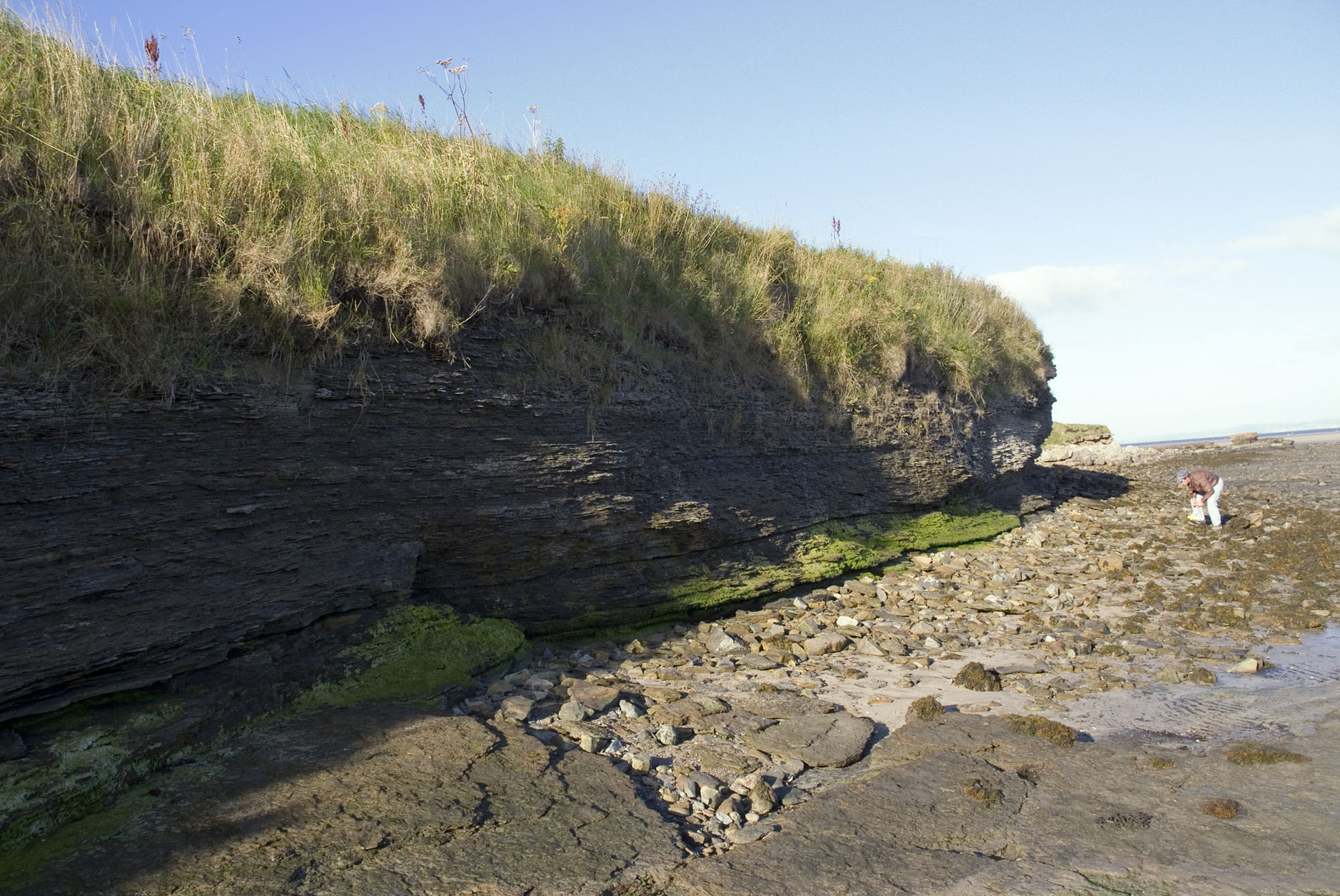 UK Fossil Collecting