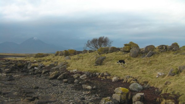 Scotland – Skye – UK Fossil Collecting