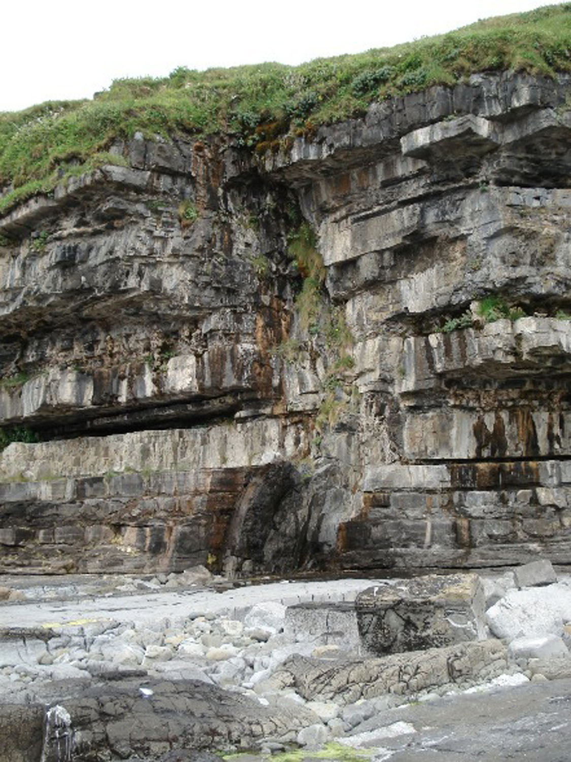 Strata – UK Fossil Collecting