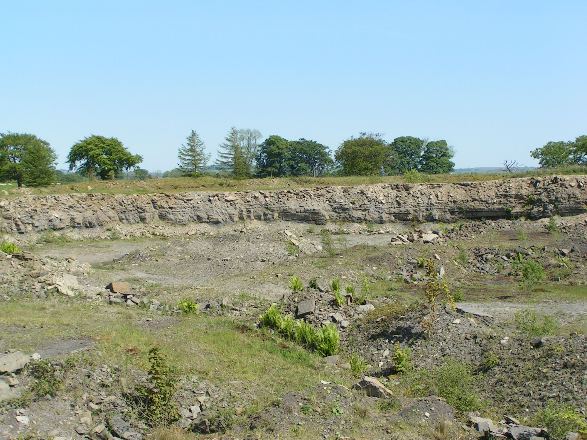 Trearne QuarrY – UK Fossil Collecting