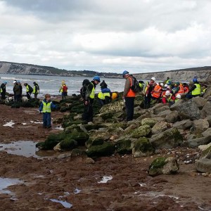 Compton Bay – UK Fossil Collecting