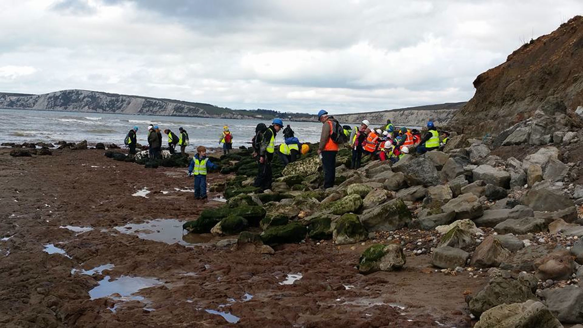 Compton Bay – UK Fossil Collecting