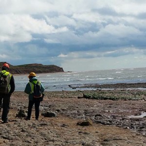 Compton Bay – UK Fossil Collecting