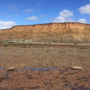 Compton Bay – UK Fossil Collecting