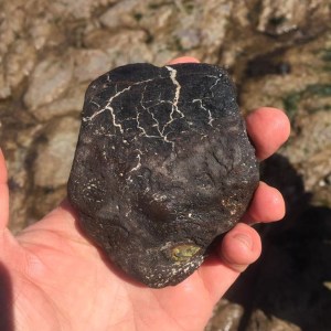 Compton Bay – UK Fossil Collecting