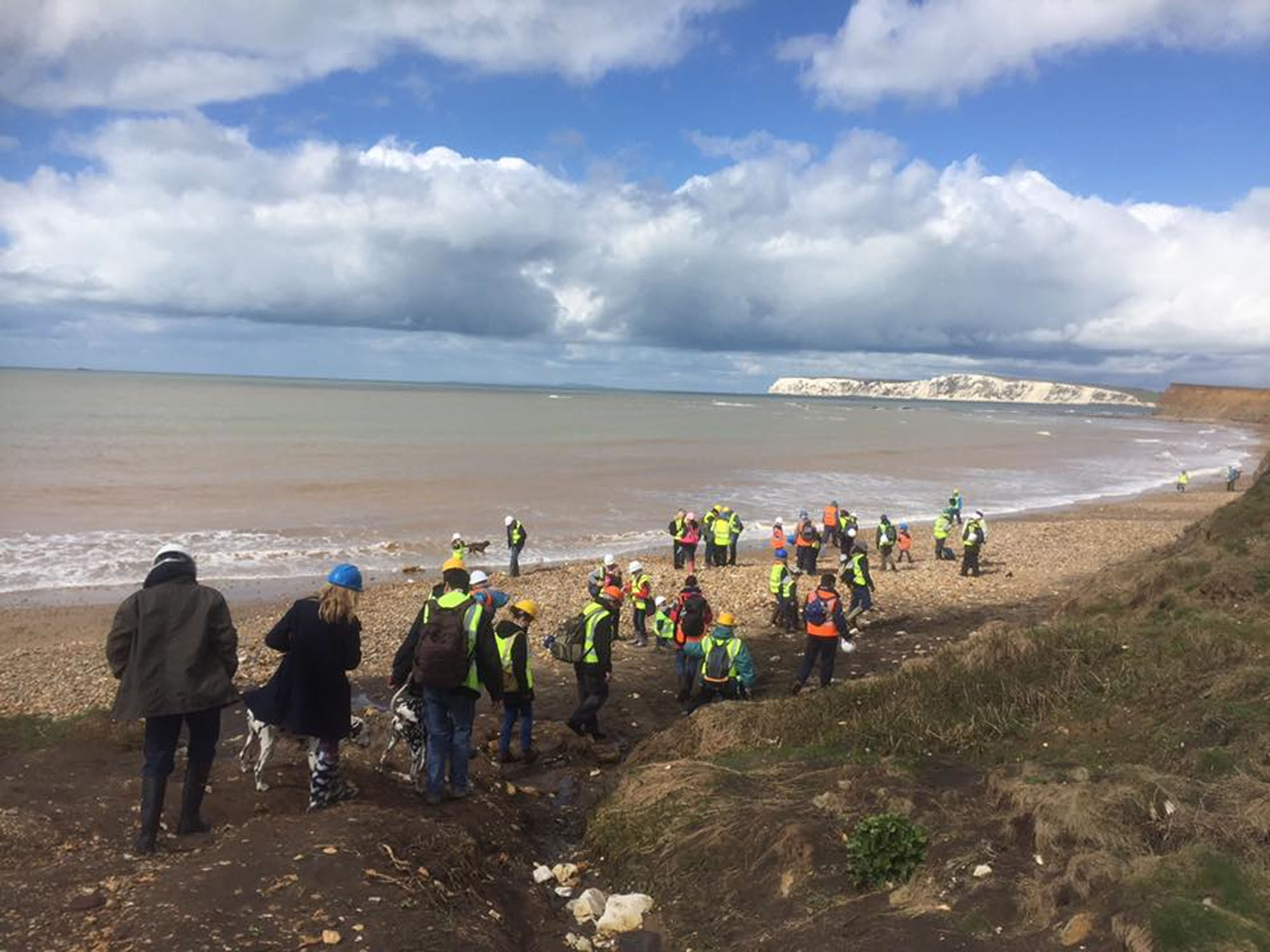 Compton Bay – UK Fossil Collecting