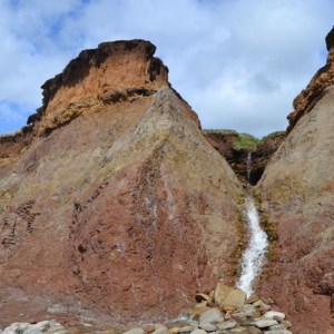Compton Bay – UK Fossil Collecting