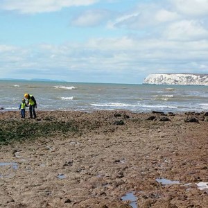 Compton Bay – UK Fossil Collecting