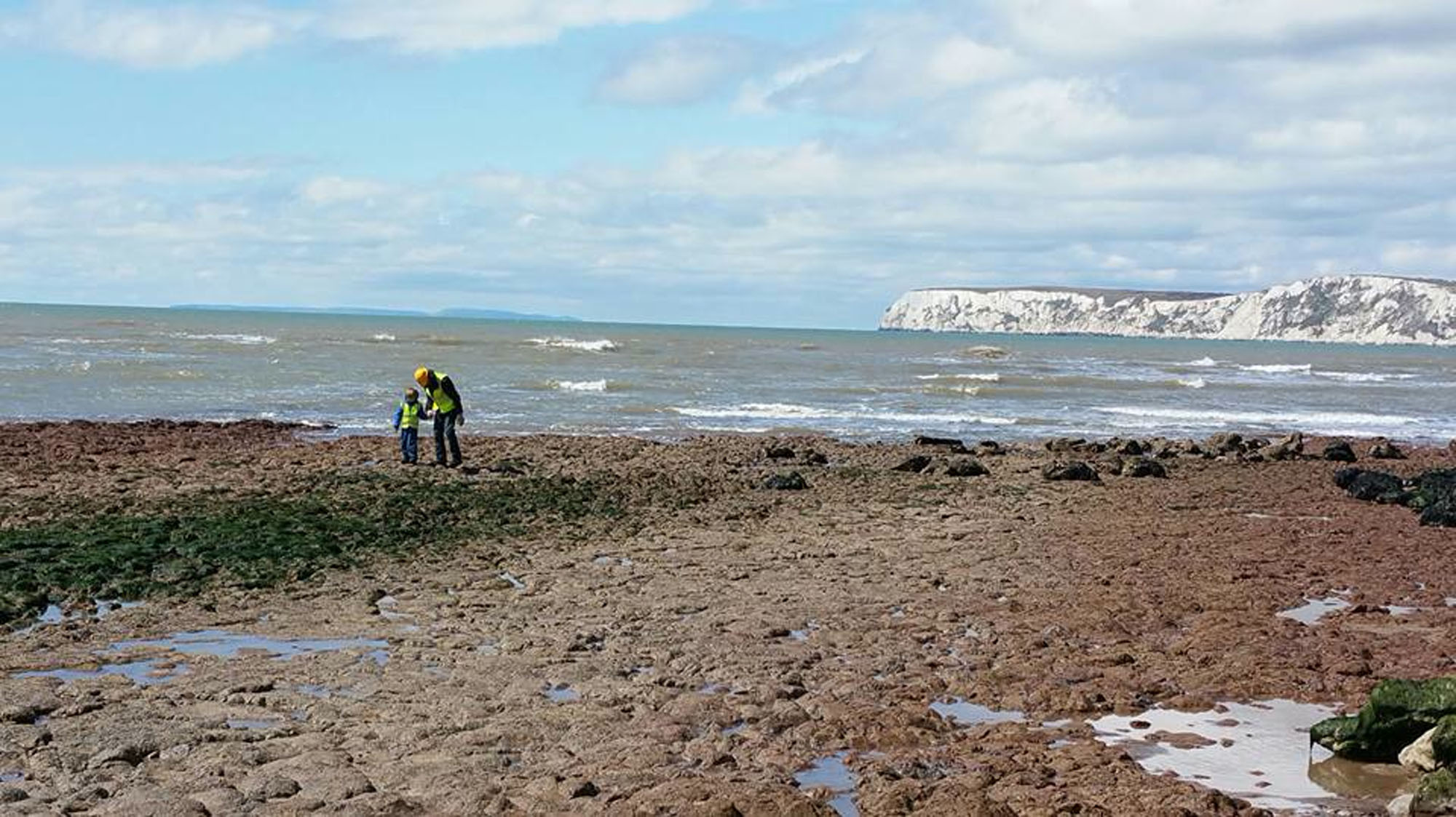 Compton Bay – UK Fossil Collecting