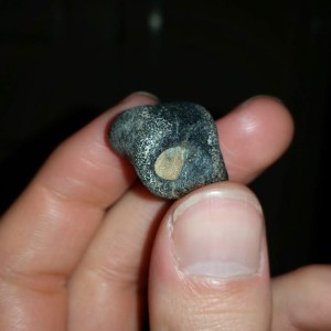 Compton Bay – UK Fossil Collecting