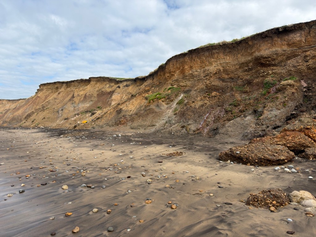 Compton Bay - Fossil Collecting Guide (UK Fossils)