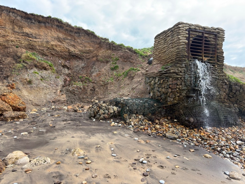 Compton Bay - Fossil Collecting Guide (UK Fossils)