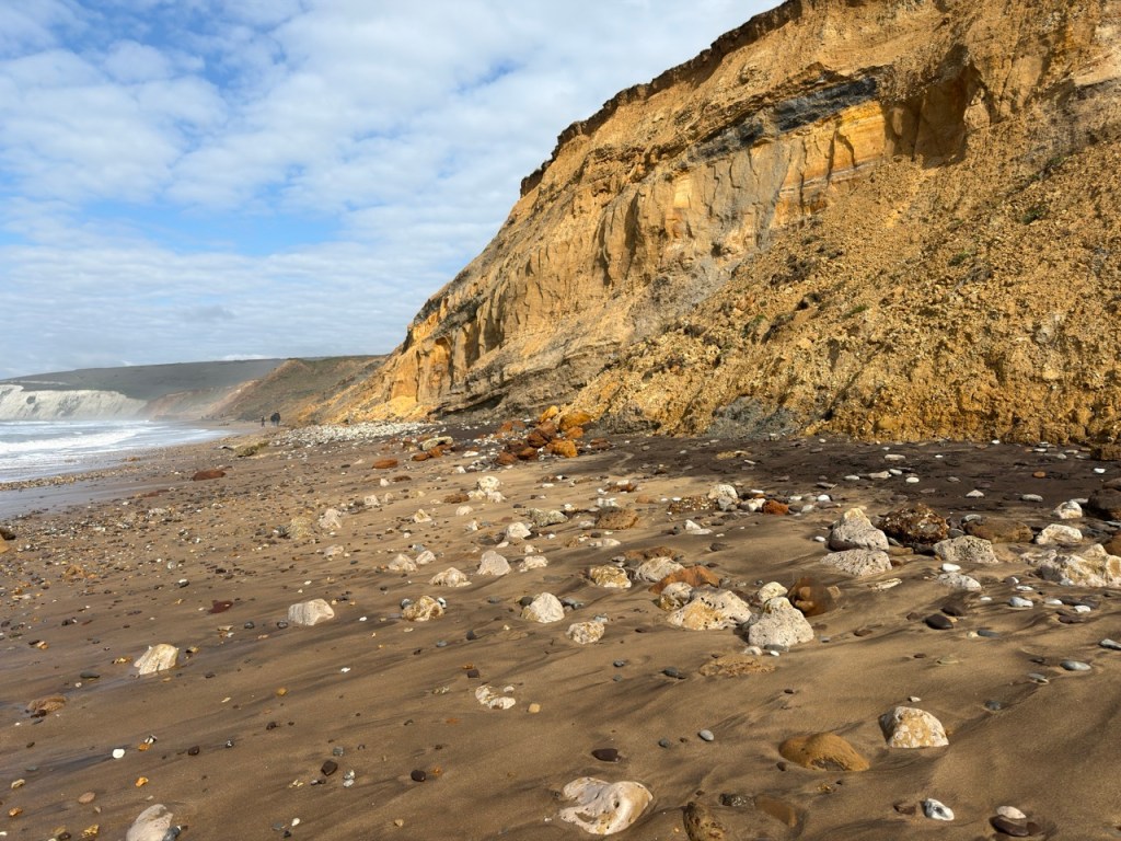 Compton Bay - Fossil Collecting Guide (UK Fossils)