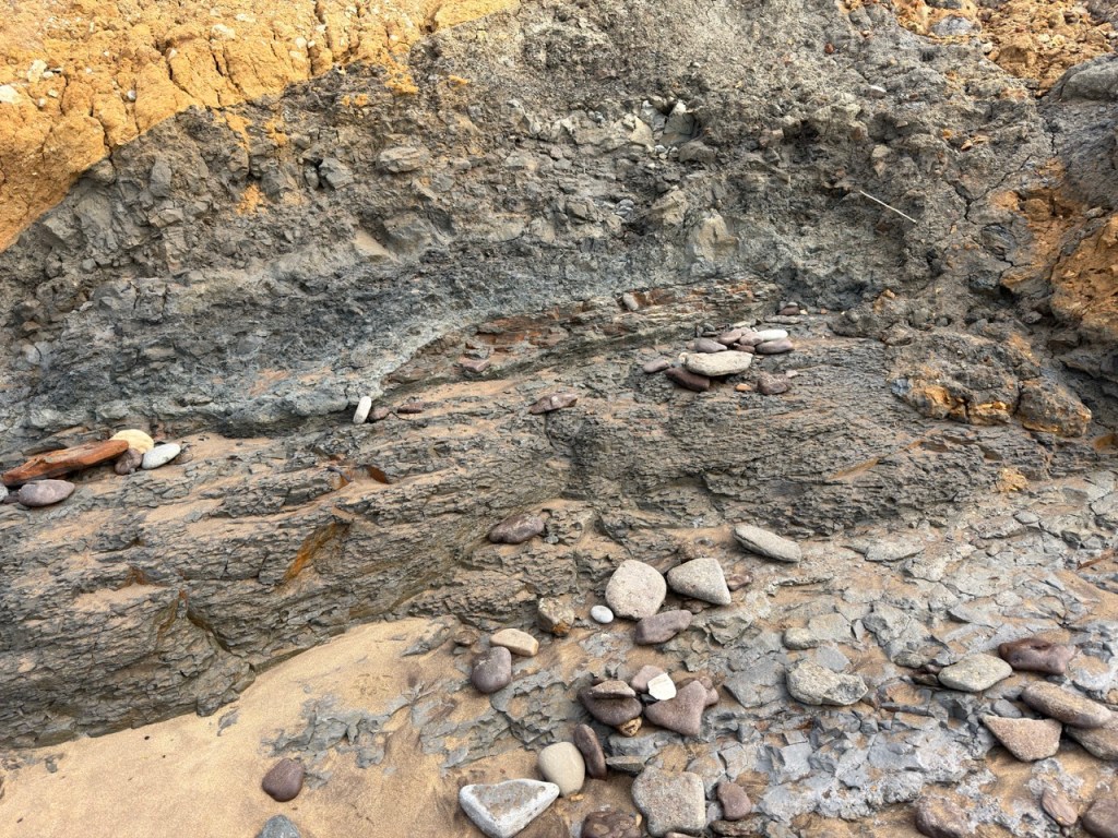Compton Bay - Fossil Collecting Guide (UK Fossils)