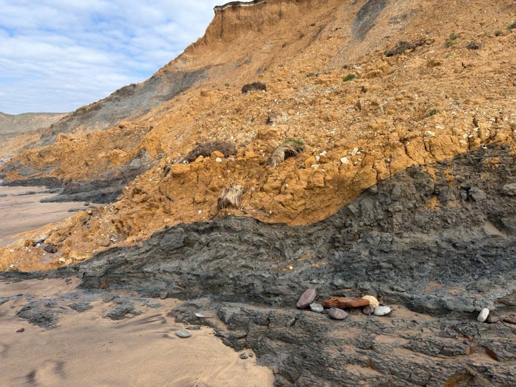 Compton Bay - Fossil Collecting Guide (UK Fossils)