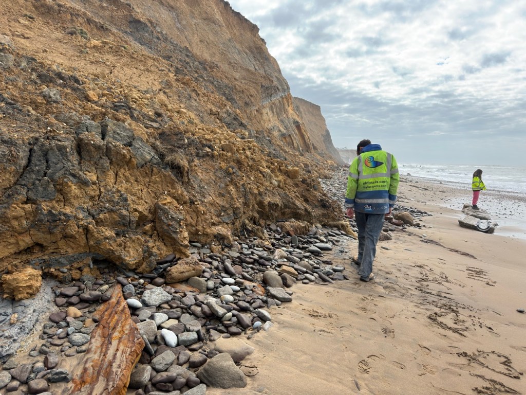 Compton Bay - Fossil Collecting Guide (UK Fossils)