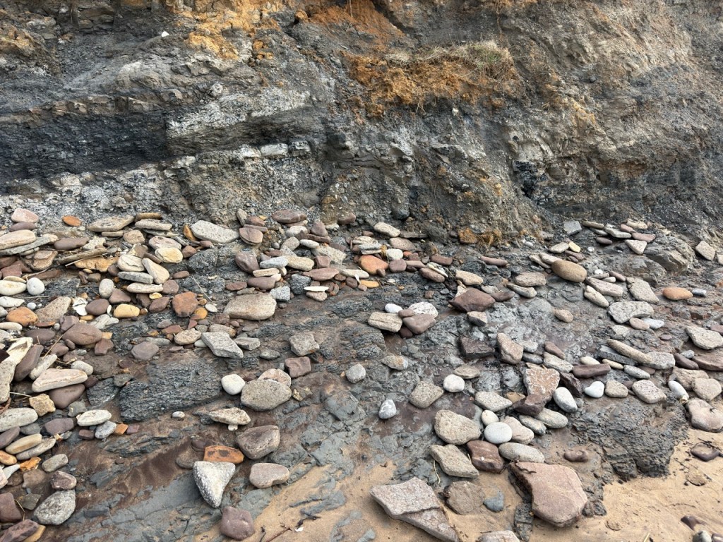 Compton Bay - Fossil Collecting Guide (UK Fossils)