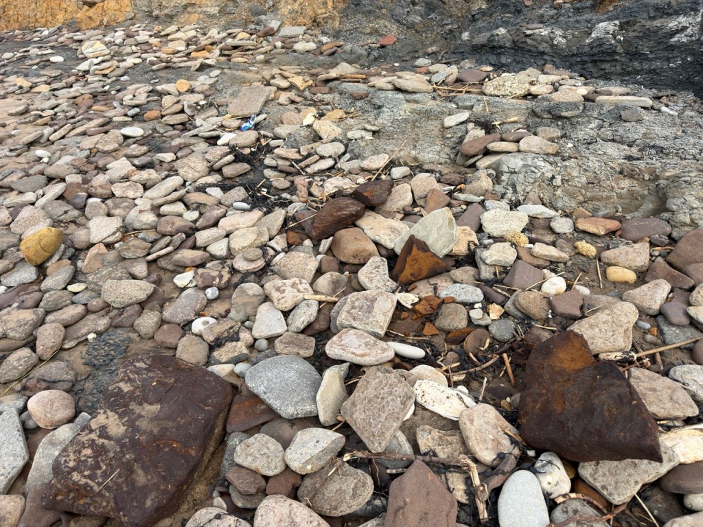 Compton Bay - Fossil Collecting Guide (UK Fossils)