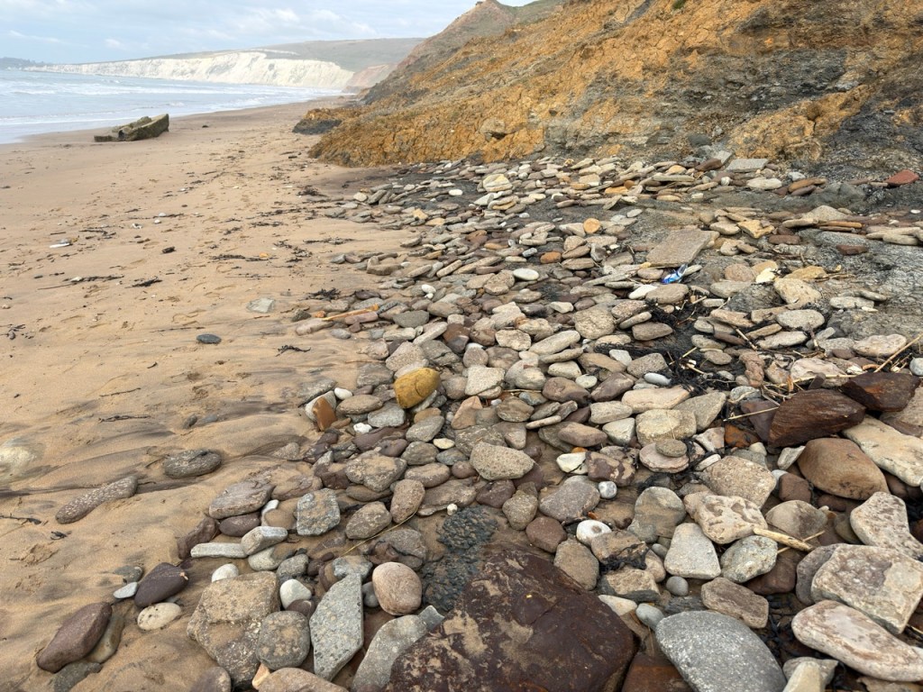 Compton Bay - Fossil Collecting Guide (UK Fossils)