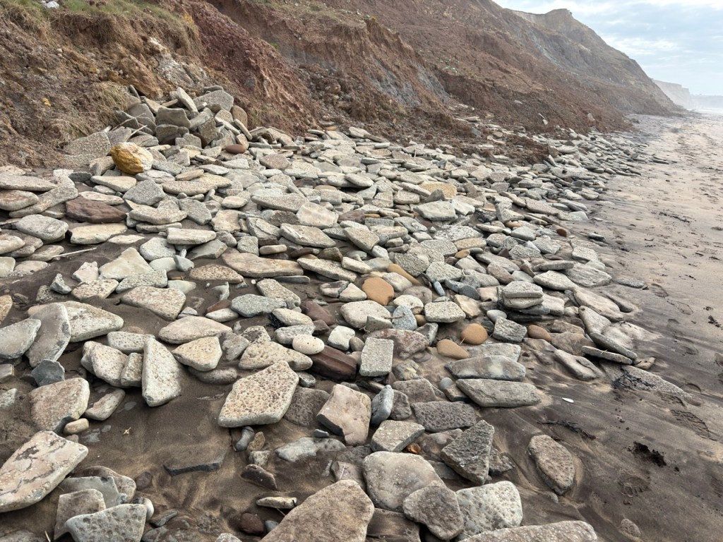 Compton Bay - Fossil Collecting Guide (UK Fossils)