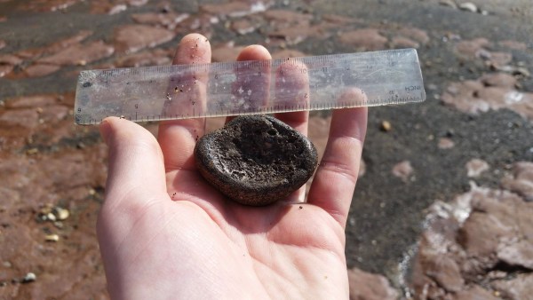 Compton Bay – UK Fossil Collecting