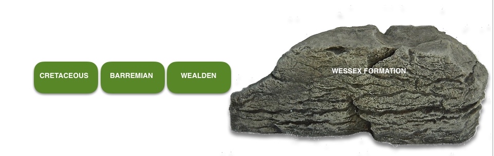 Compton Bay – UK Fossil Collecting