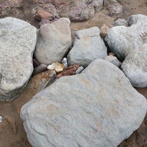 Compton Bay – UK Fossil Collecting