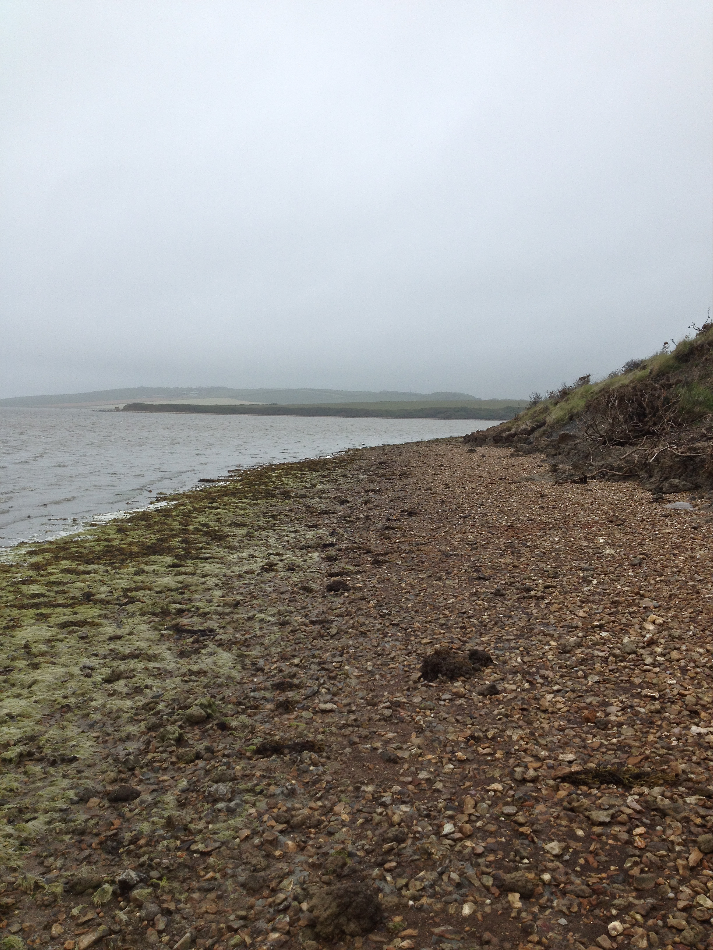 Tidmoor Point – UK Fossil Collecting