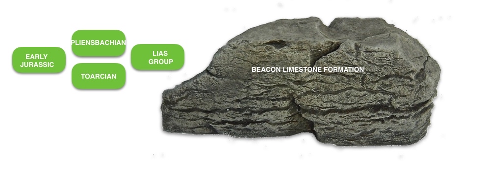 Kingstone – UK Fossil Collecting