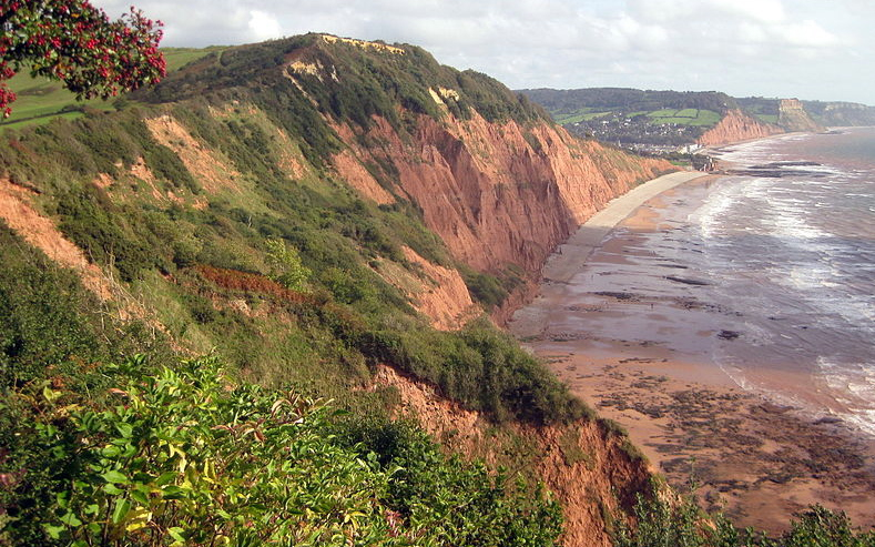 Sidmouth – UK Fossil Collecting