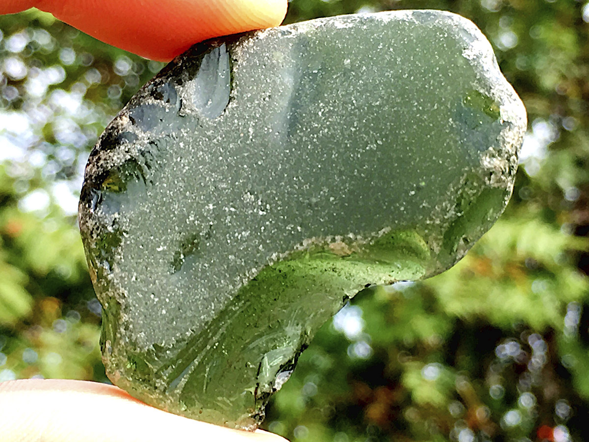 Parton Bay – UK Fossil Collecting