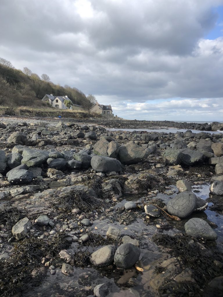 Waterloo Bay – UK Fossil Collecting