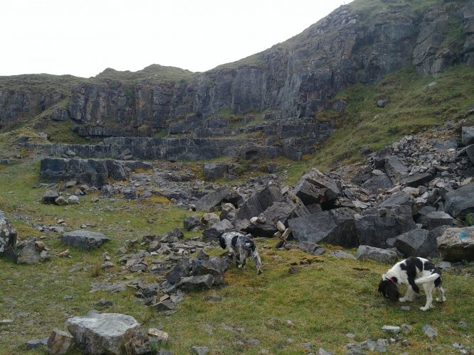 Trefil Quarry – UK Fossil Collecting