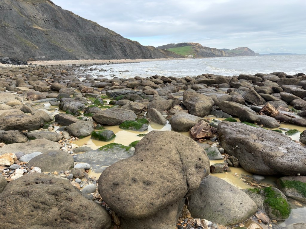 Charmouth (Black Ven) - Fossil Collecting Guide (UK Fossils)