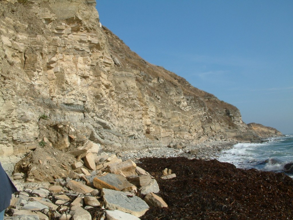 Peveril Point - Fossil Collecting Guide (UK Fossils)